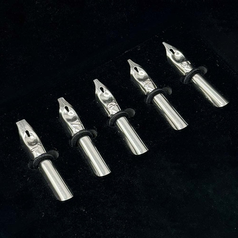 1593 Peacock Feather Pen & Diary Set